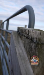 Proper Fence Post Depth to Build Strong Fences - Countryside